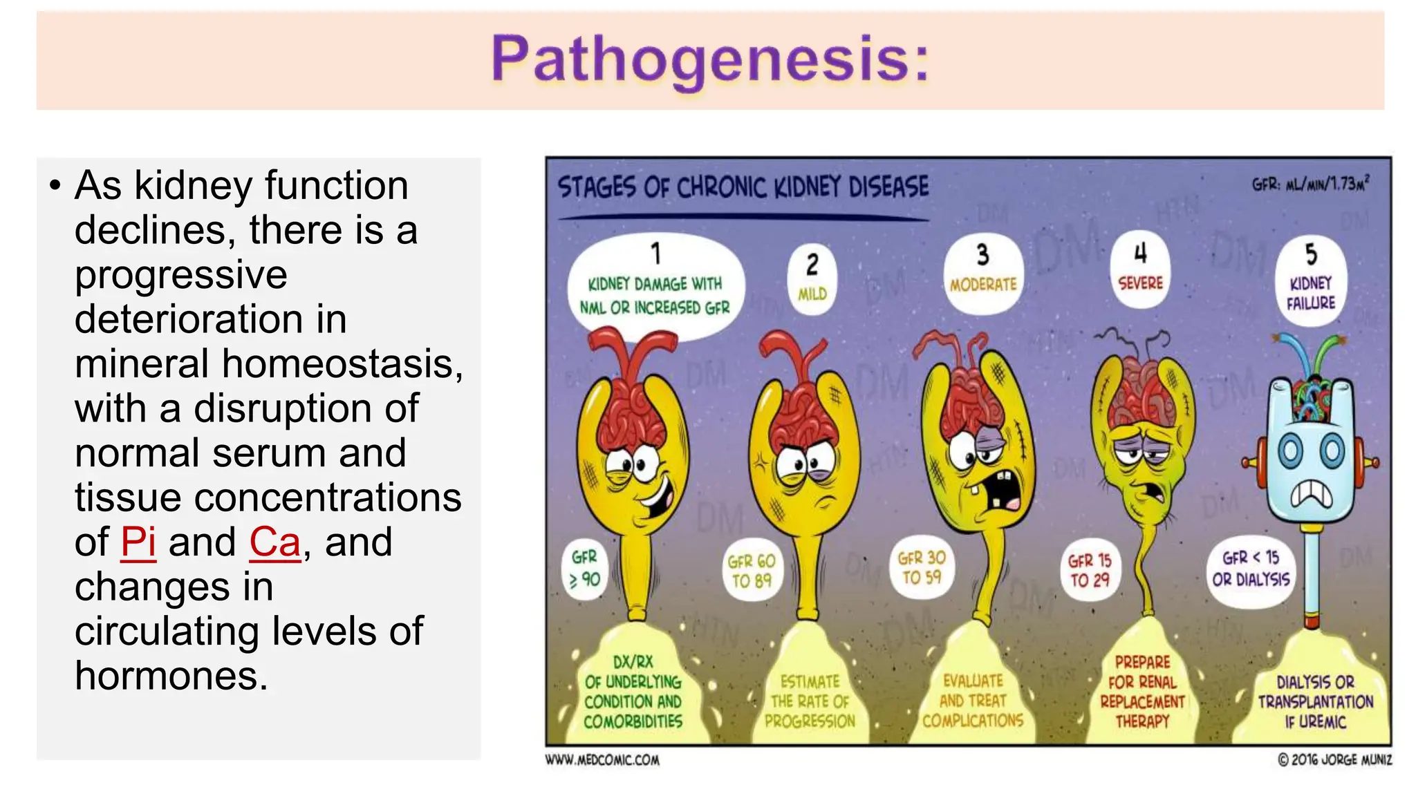 Chronic kidney disease mbd full version.pptx