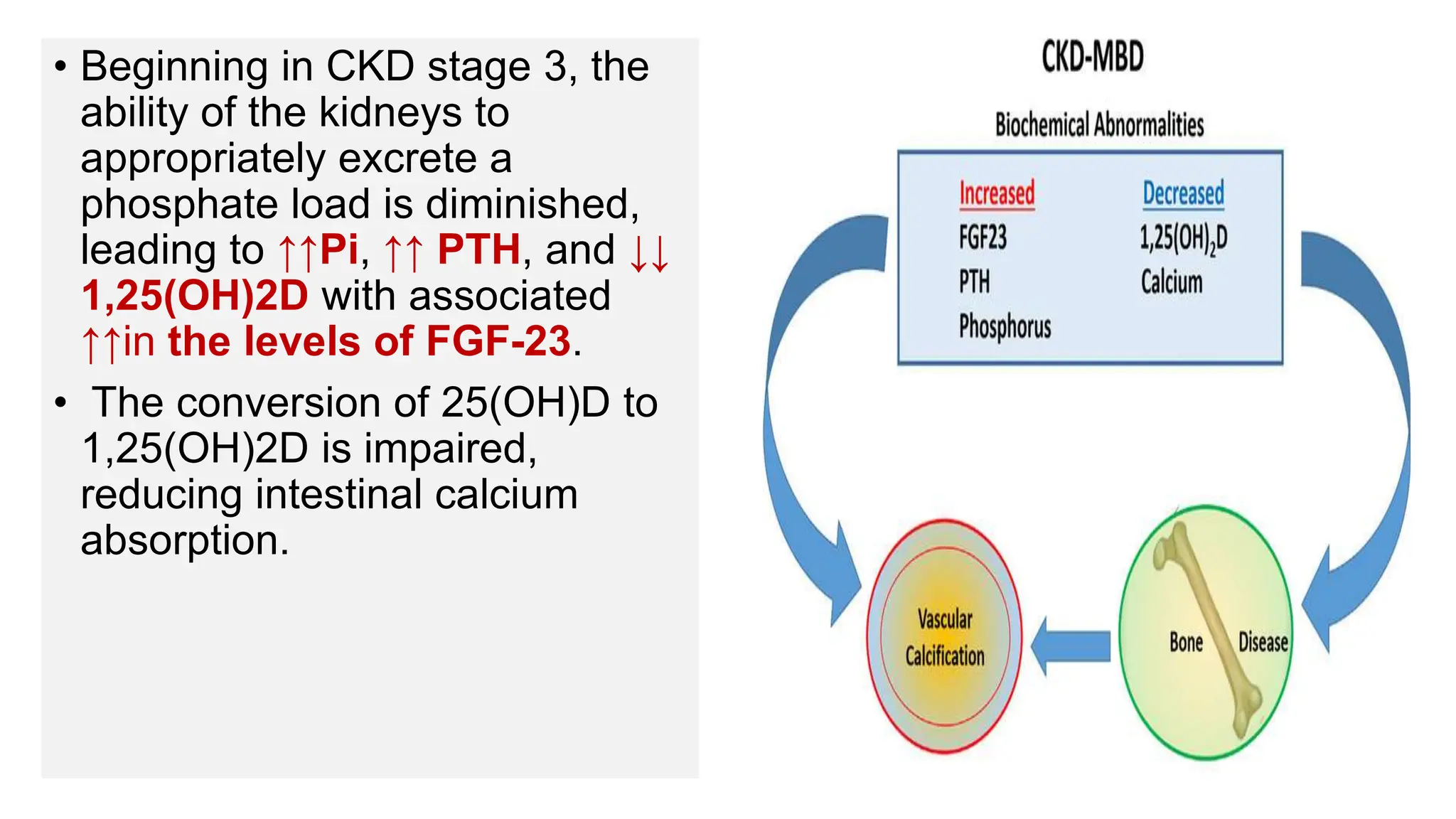 Chronic kidney disease mbd full version.pptx