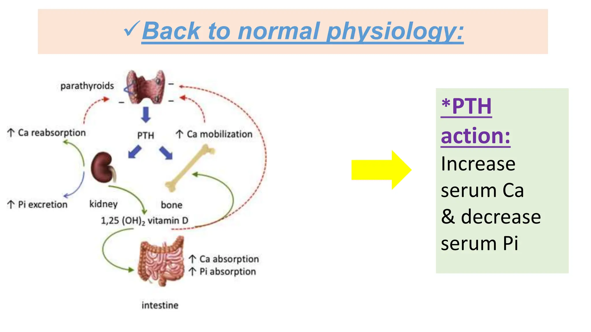 Chronic kidney disease mbd full version.pptx