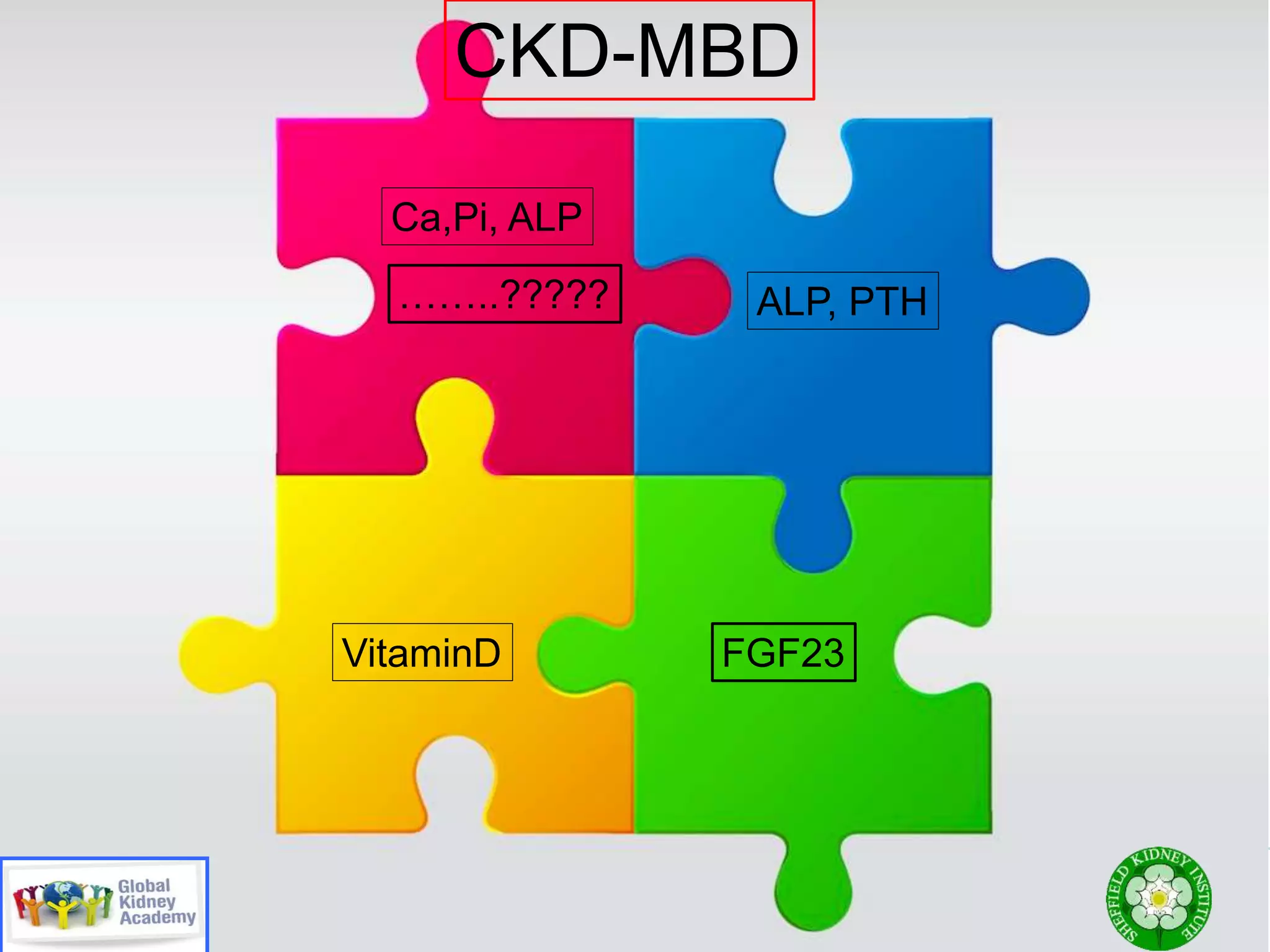 CKD MBD 2017 | PPTX