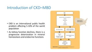 Diagnosis, Evaluation, Prevention and Treatment of CKD-MBD | PPTX