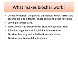 CK Dotaniya =Role of Biofertilizers in Integrated Nutrient Management ...