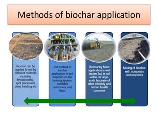 CK Dotaniya =Role of Biofertilizers in Integrated Nutrient Management ...