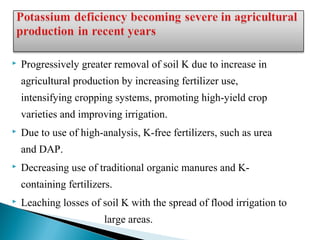 CK Dotaniya = Role of Potassium In Soil and Plant | PPT