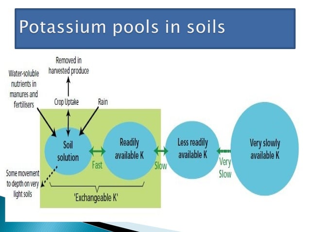 CK Dotaniya = Role of Potassium In Soil and Plant | PPT