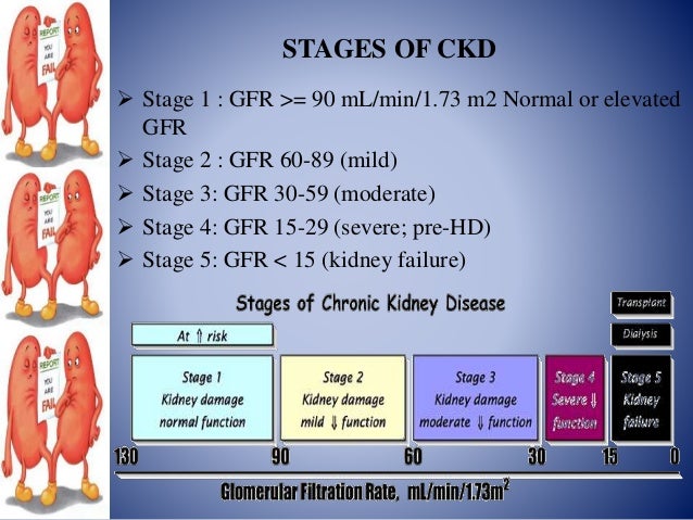 Ckd ppt
