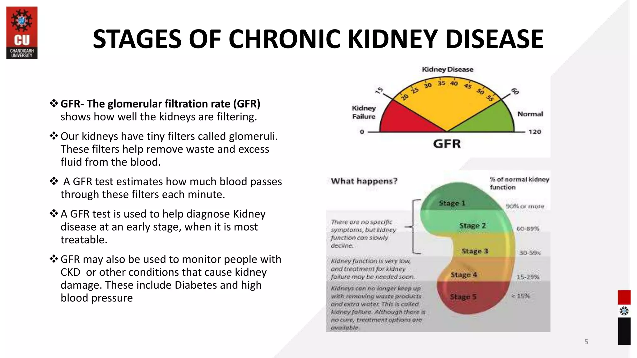 CKD PPT Chahat kalra 21MND1016 New.pptx