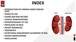 CKD PPT Chahat kalra 21MND1016 New.pptx