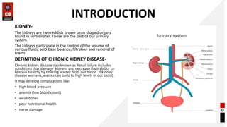 CKD PPT Chahat kalra 21MND1016 New.pptx