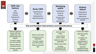 CKD PPT Chahat kalra 21MND1016 New.pptx