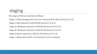 CKD PPT DOC.pptx