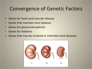 CKD Presentation1 2.pptx