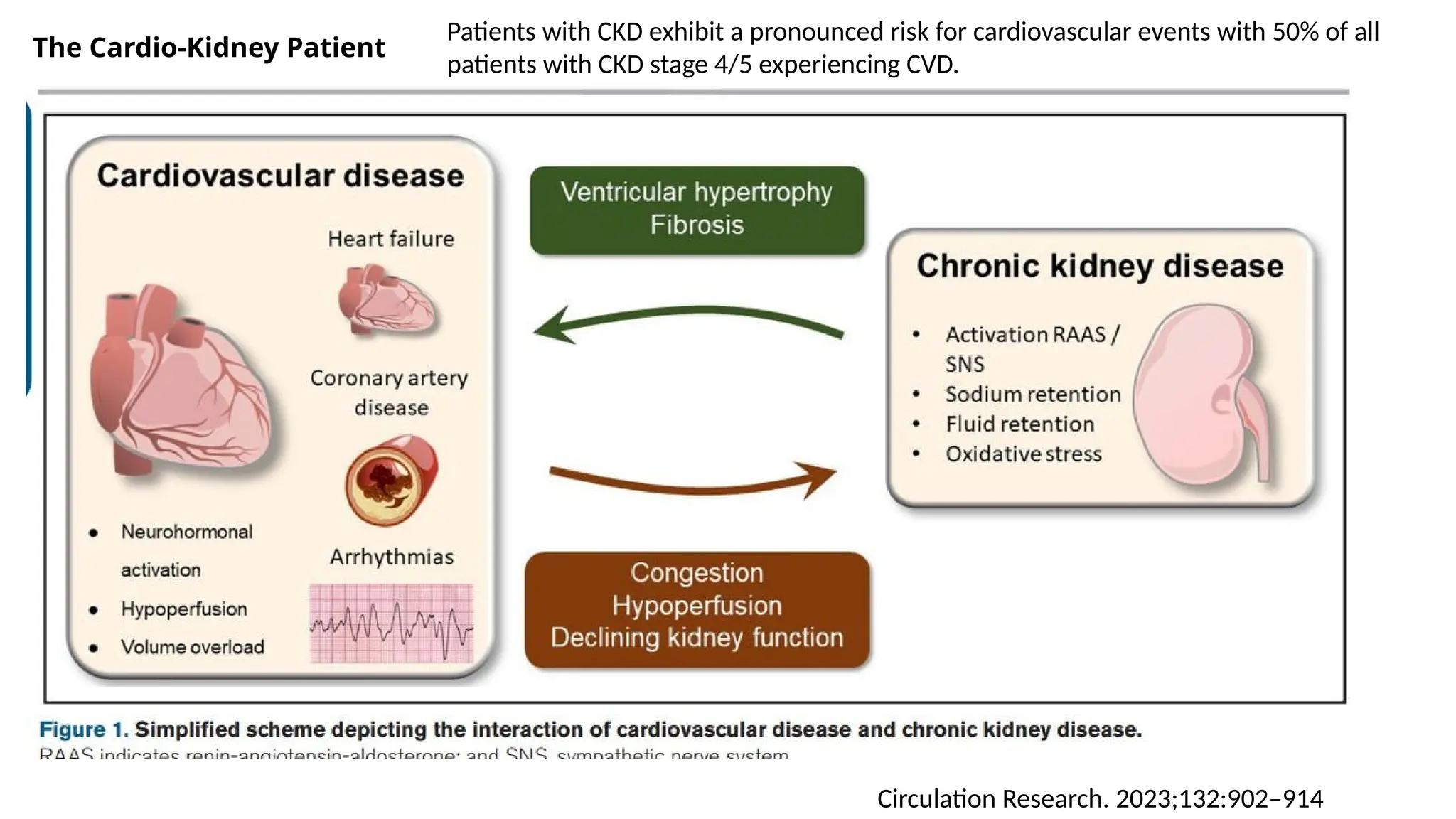 CKM risk score,.a novelCVS risk predictor | PPTX