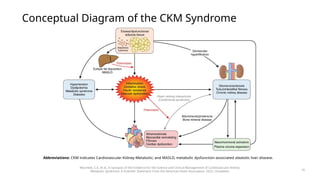CKM risk score,.a novelCVS risk predictor | PPTX