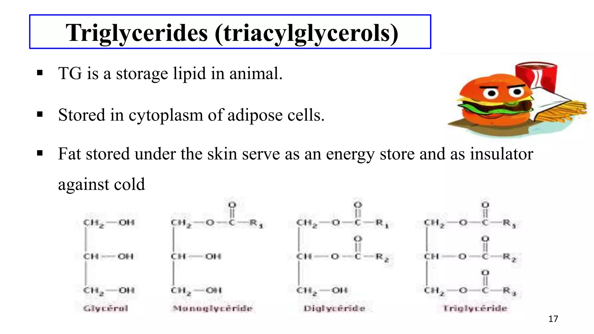 CL- 02: Lipid classification & Simple lipids | PPTX | Chemistry | Science