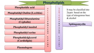 CL- 02: Lipid classification & Simple lipids | PPTX
