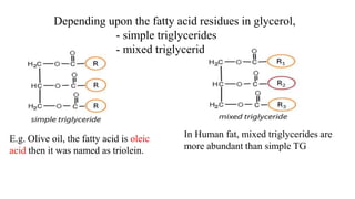 CL- 02: Lipid classification & Simple lipids | PPTX