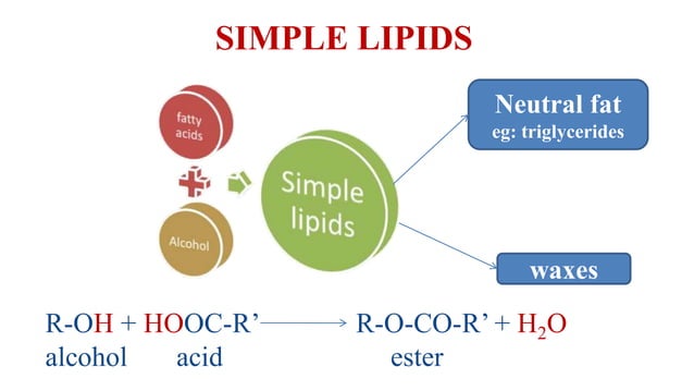 CL- 02: Lipid classification & Simple lipids | PPTX | Chemistry | Science