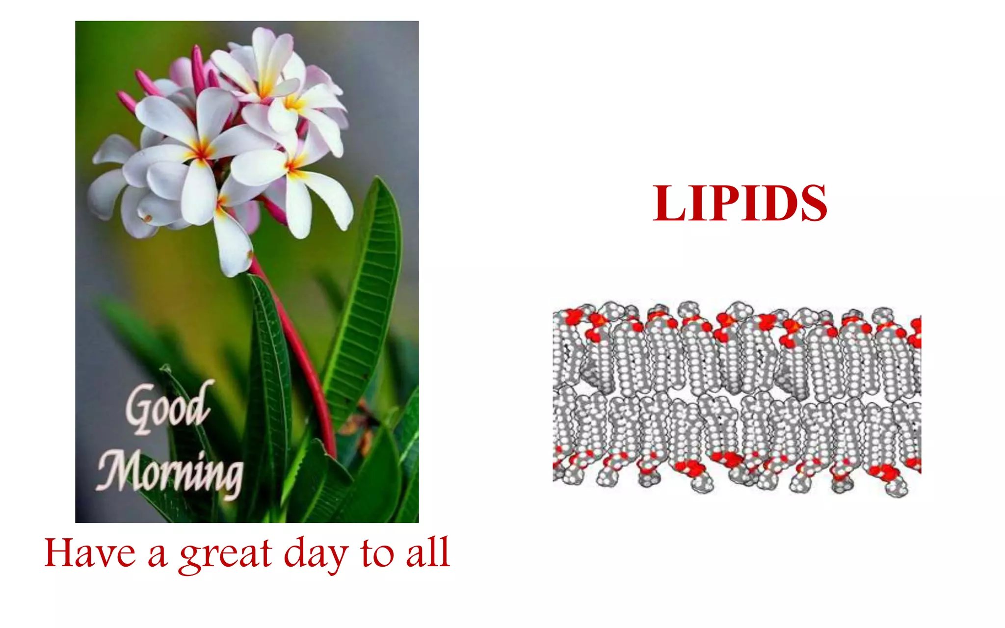 CL-02: lipid classification & Simple lipids by Santhosh Kumar .pptx