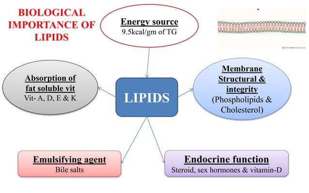 CL-02: lipid classification & Simple lipids by Santhosh Kumar .pptx