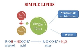 CL-02: lipid classification & Simple lipids by Santhosh Kumar .pptx