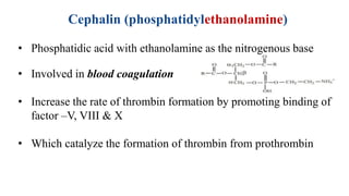 CL- 03: Compound lipids-(Phospholipids) | PPTX | Lung and Respiratory ...