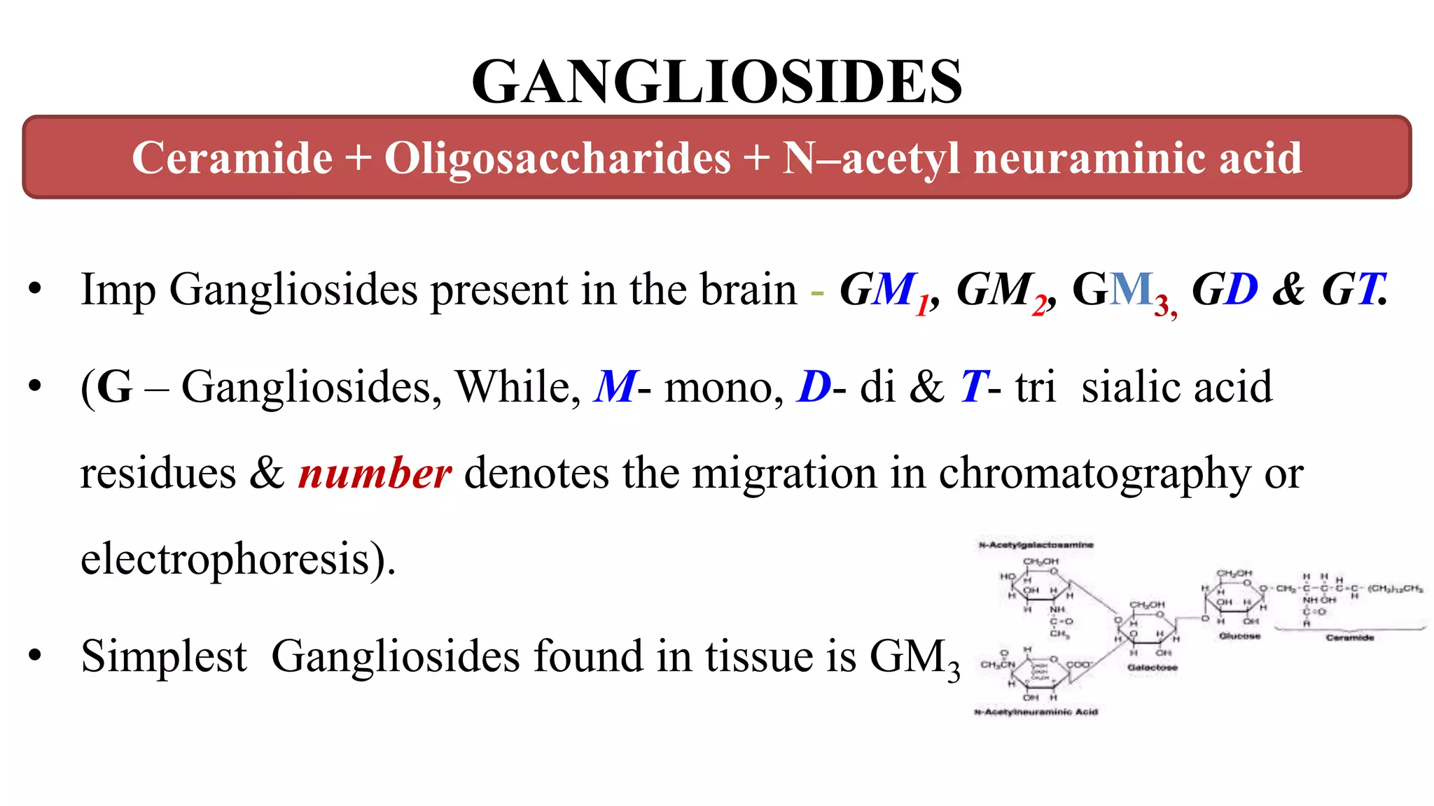 CL-04: Glycolipids & Lipoproteins | PPTX