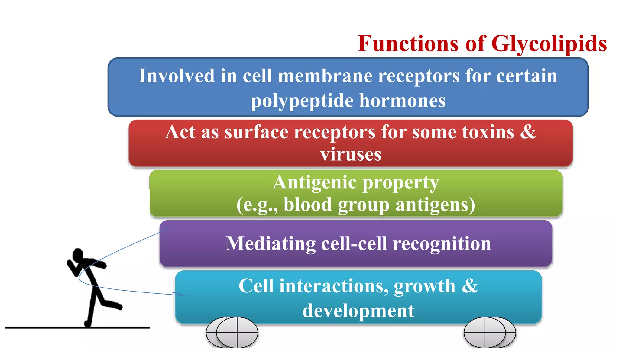 CL-04: Glycolipids & Lipoproteins | PPTX