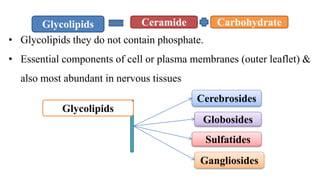 CL-04: Glycolipids & Lipoproteins | PPTX