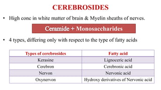 CL-04: Glycolipids & Lipoproteins | PPTX