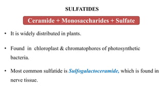 CL-04: Glycolipids & Lipoproteins | PPTX