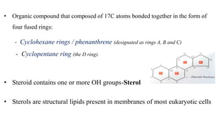 Cl-05 : Steorids | PPTX