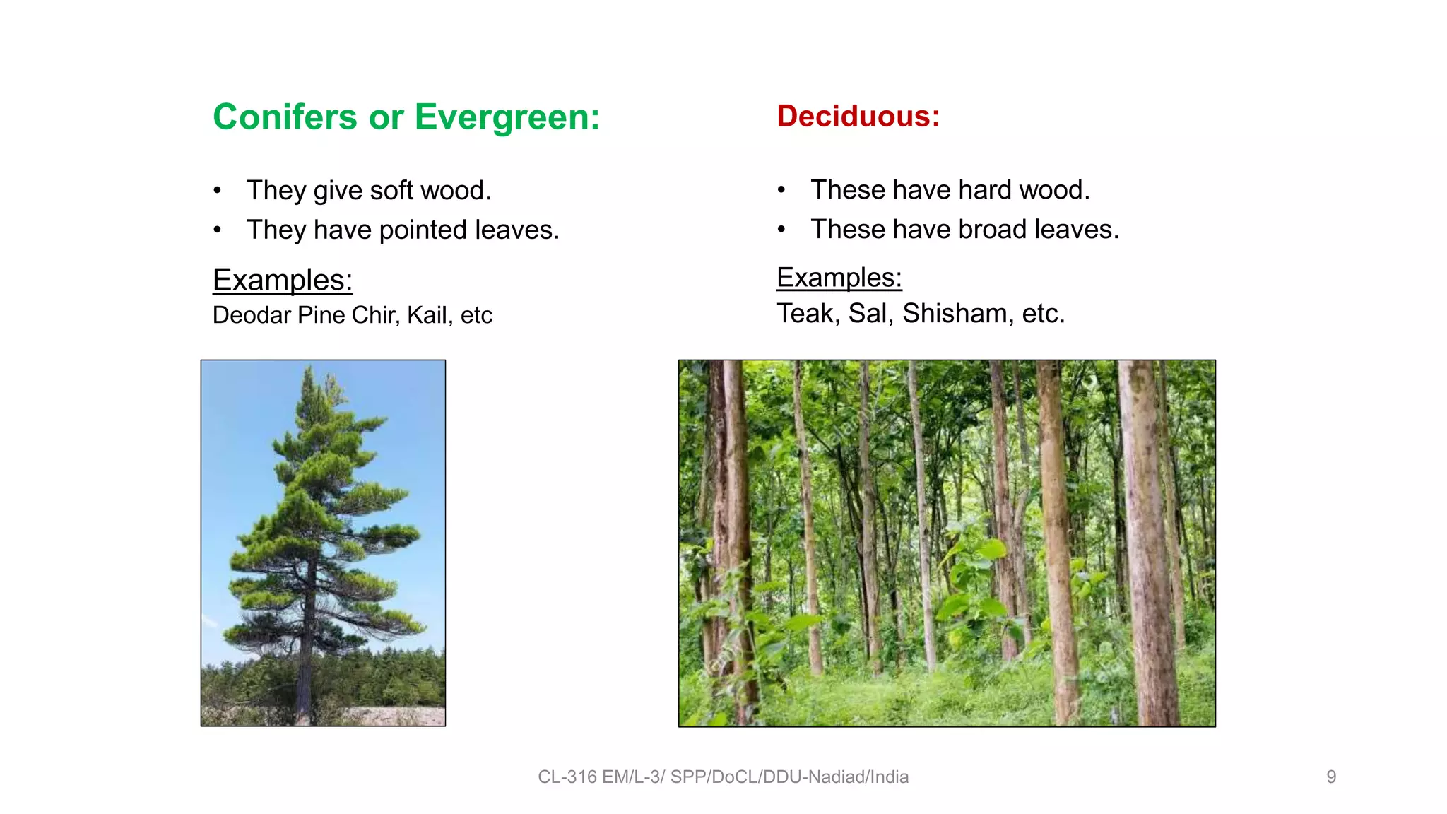 CL-311 Lec-3 TIMBER- WOOD BASED PRODUCTS.pptx