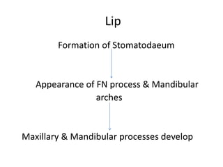 cleft lip and palate | PPTX