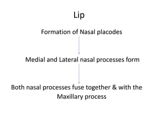 cleft lip and palate | PPTX | Ear, Nose and Throat Conditions ...