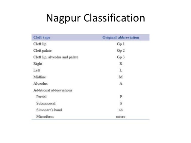 cleft lip and palate