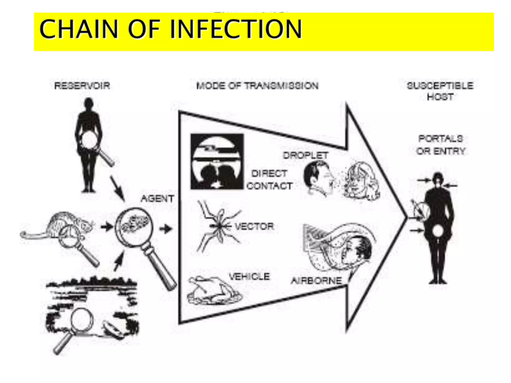 Cl 02 principles in control and prevention of communicable diseases | PPTX