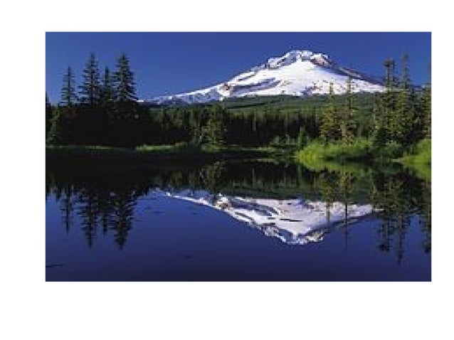 Cl10 light reflaction and refraction | PPT | Physics | Science