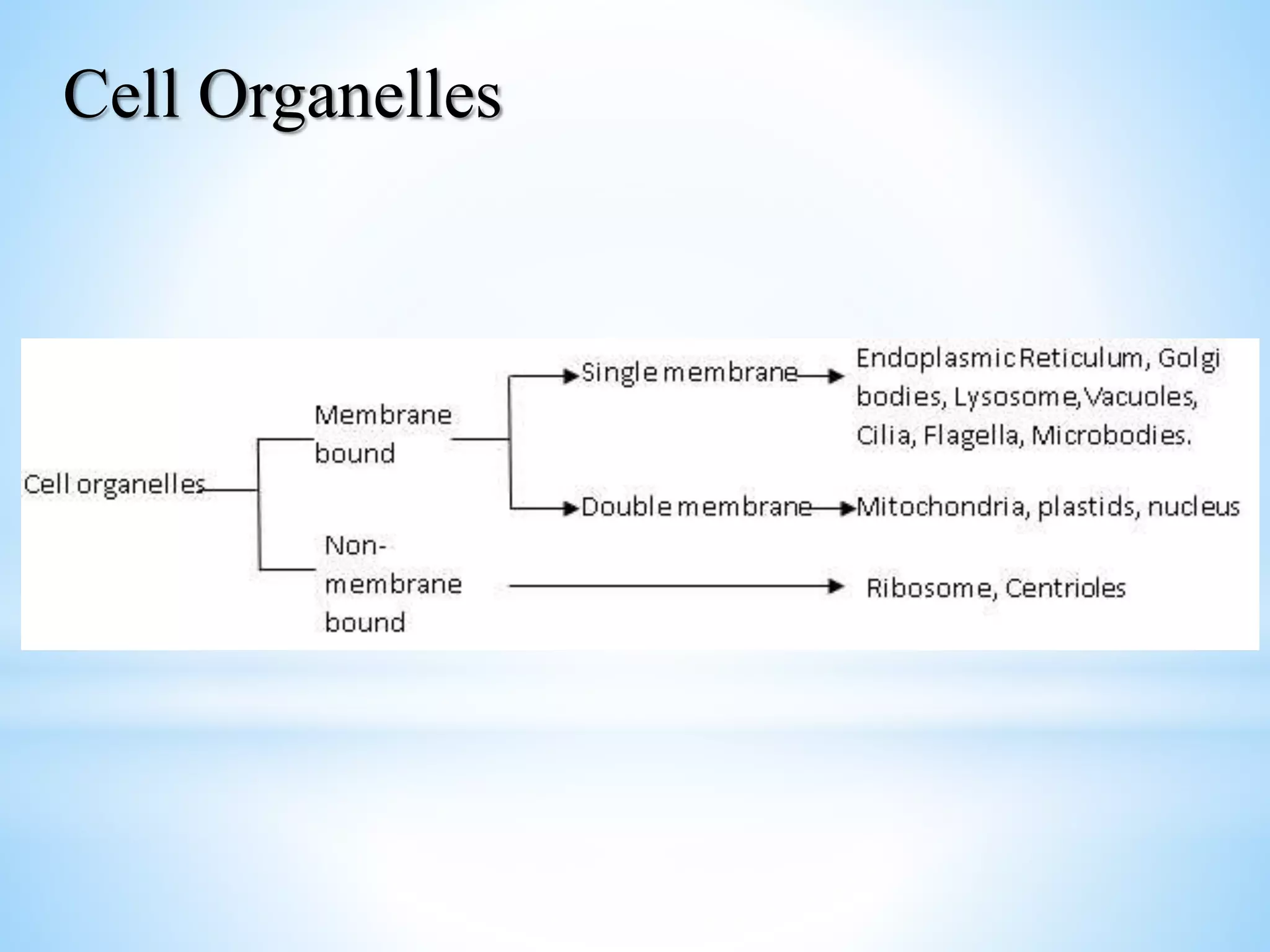 Ch 08 - Cell : The unit of Life || Class 11 || | PPTX