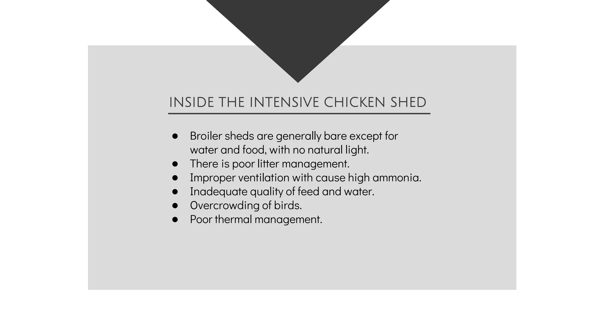 Welfare Issues in Broiler Chickens By Vaibhav Bali.pptx