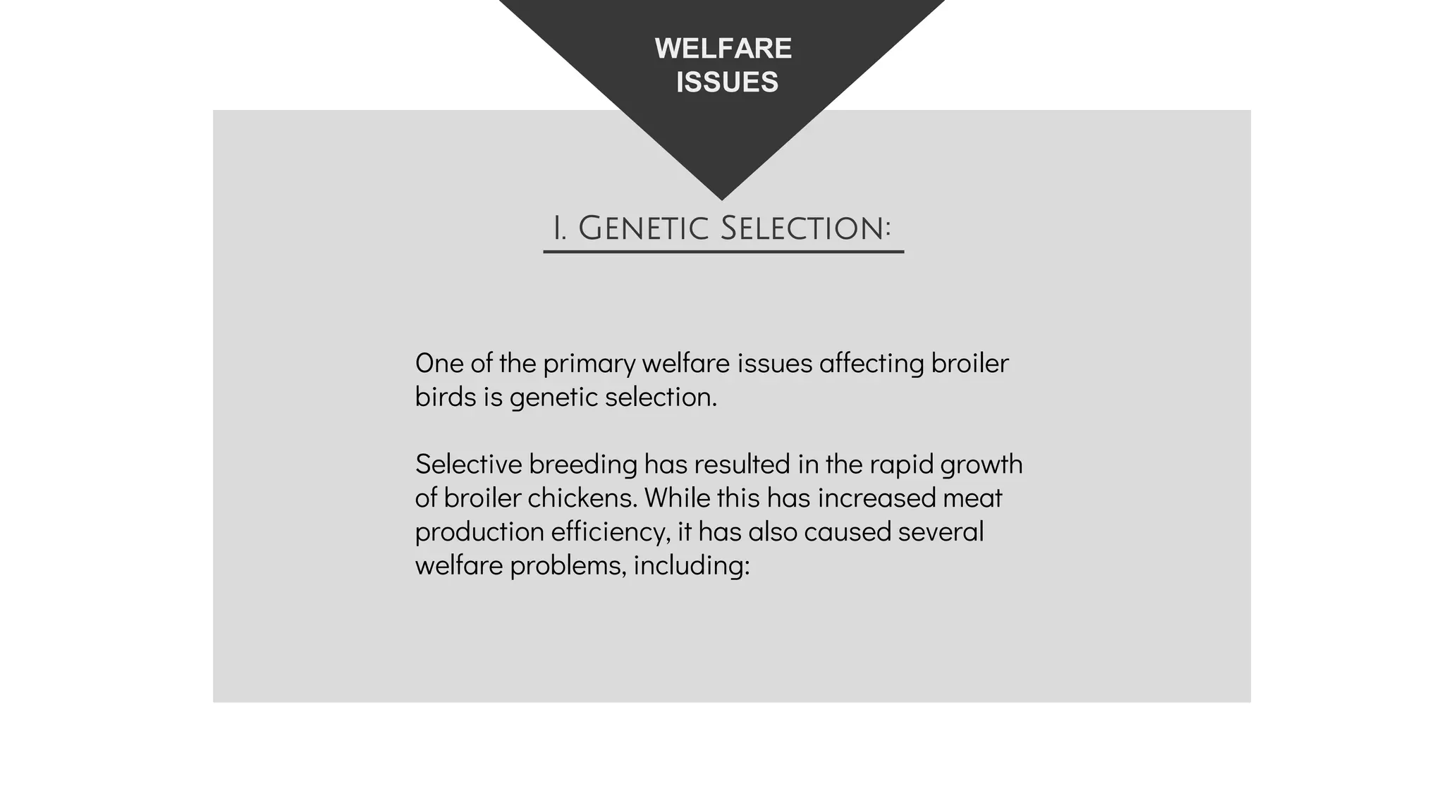 Welfare Issues in Broiler Chickens By Vaibhav Bali.pptx