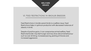 Welfare Issues in Broiler Chickens By Vaibhav Bali.pptx