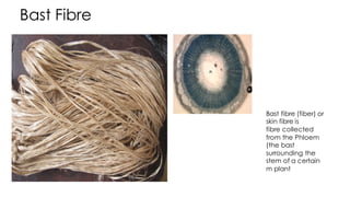 Claasifcation of fibres | PDF