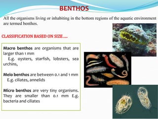 Claasification of zooplankton and Benthos | PPTX