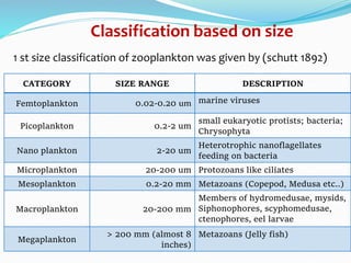 Claasification of zooplankton and Benthos | PPTX