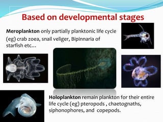 Claasification of zooplankton and Benthos | PPTX