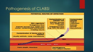 central line associated blood stream infection prevention | PPTX