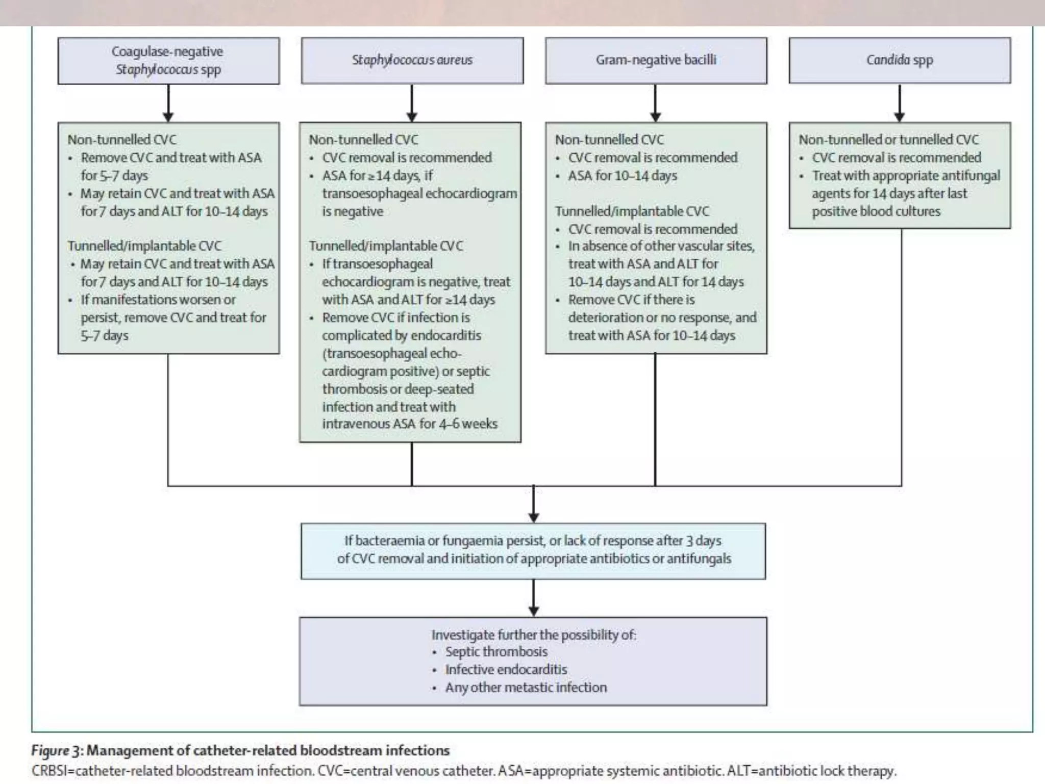 Central Line Associated Blood Stream Infections( CLABSI) | PPTX