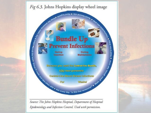 Central Line Associated Blood Stream Infections( CLABSI) | PPTX