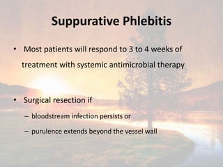 Central Line Associated Blood Stream Infections( CLABSI) | PPTX